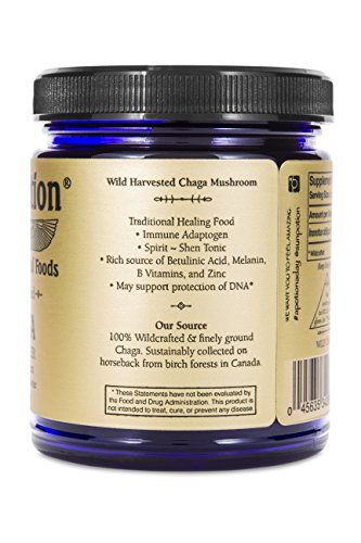 chaga mushroom powder for daily energy