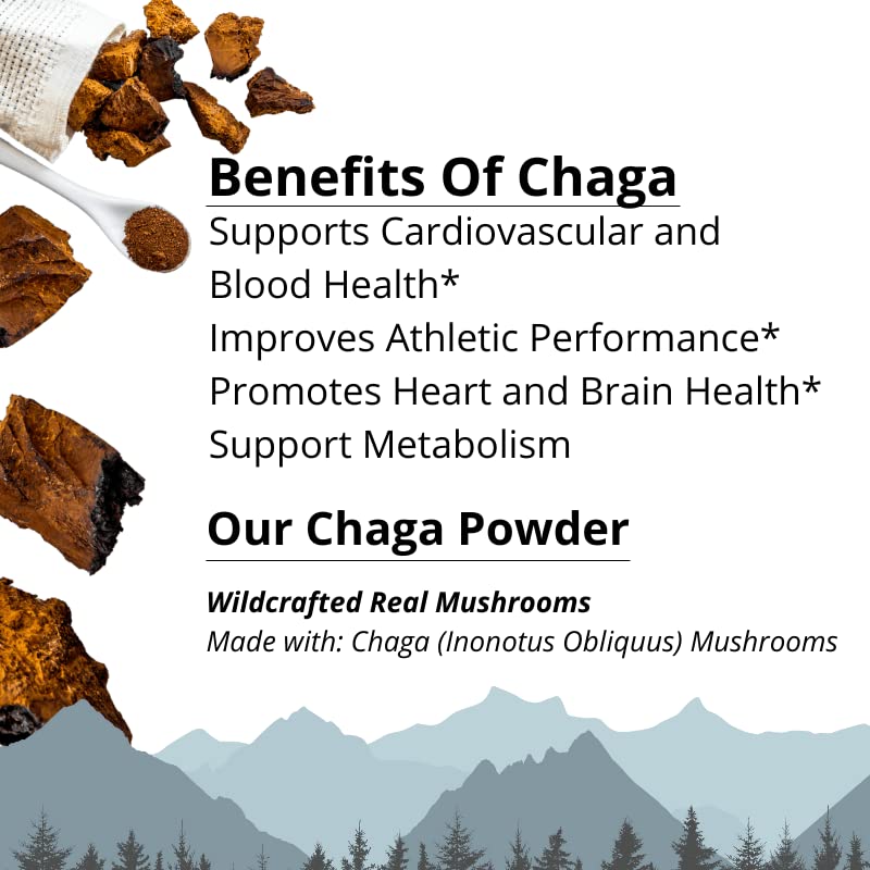 chaga mushroom powder for daily health