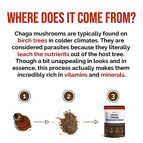 chaga mushroom powder for daily nutrition