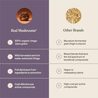 chaga mushroom powder for daily use