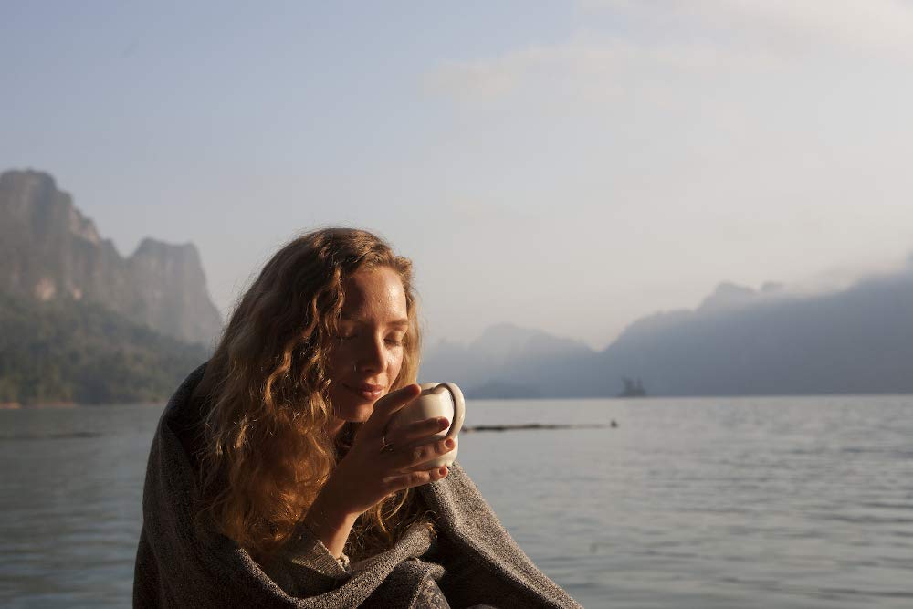 Chaga mushroom powder for detox