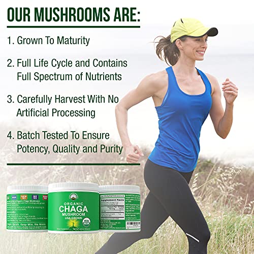chaga mushroom powder for detox