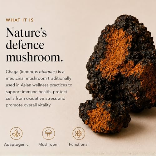 Chaga mushroom powder for endurance