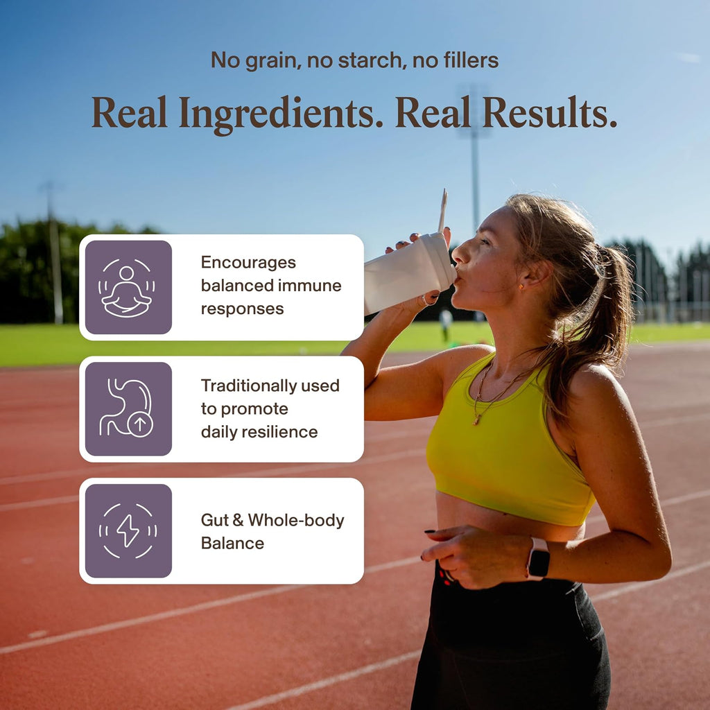 chaga mushroom powder for energy boost