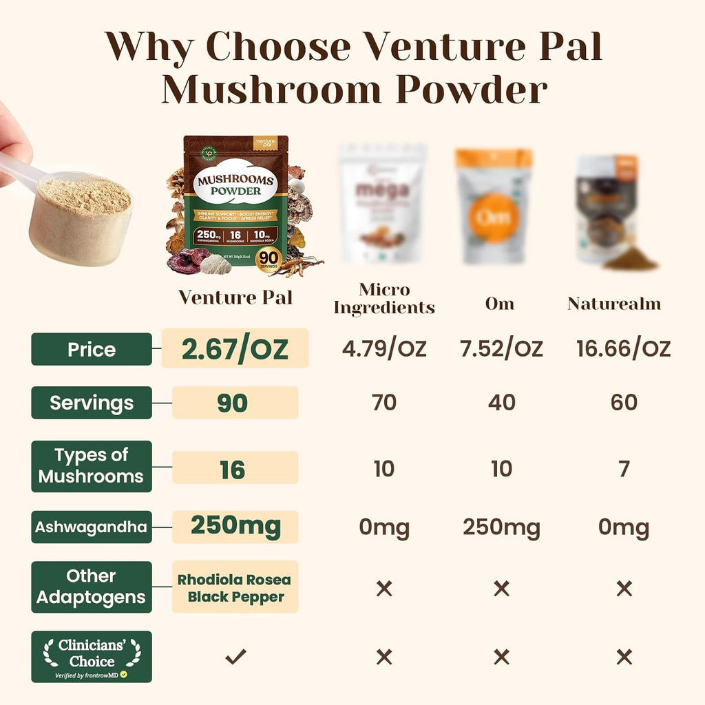 chaga mushroom powder for energy