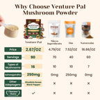 chaga mushroom powder for energy
