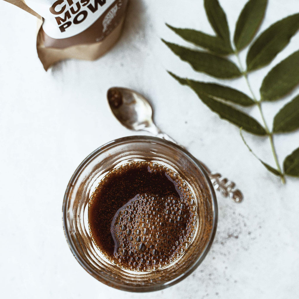 Chaga mushroom powder for energy