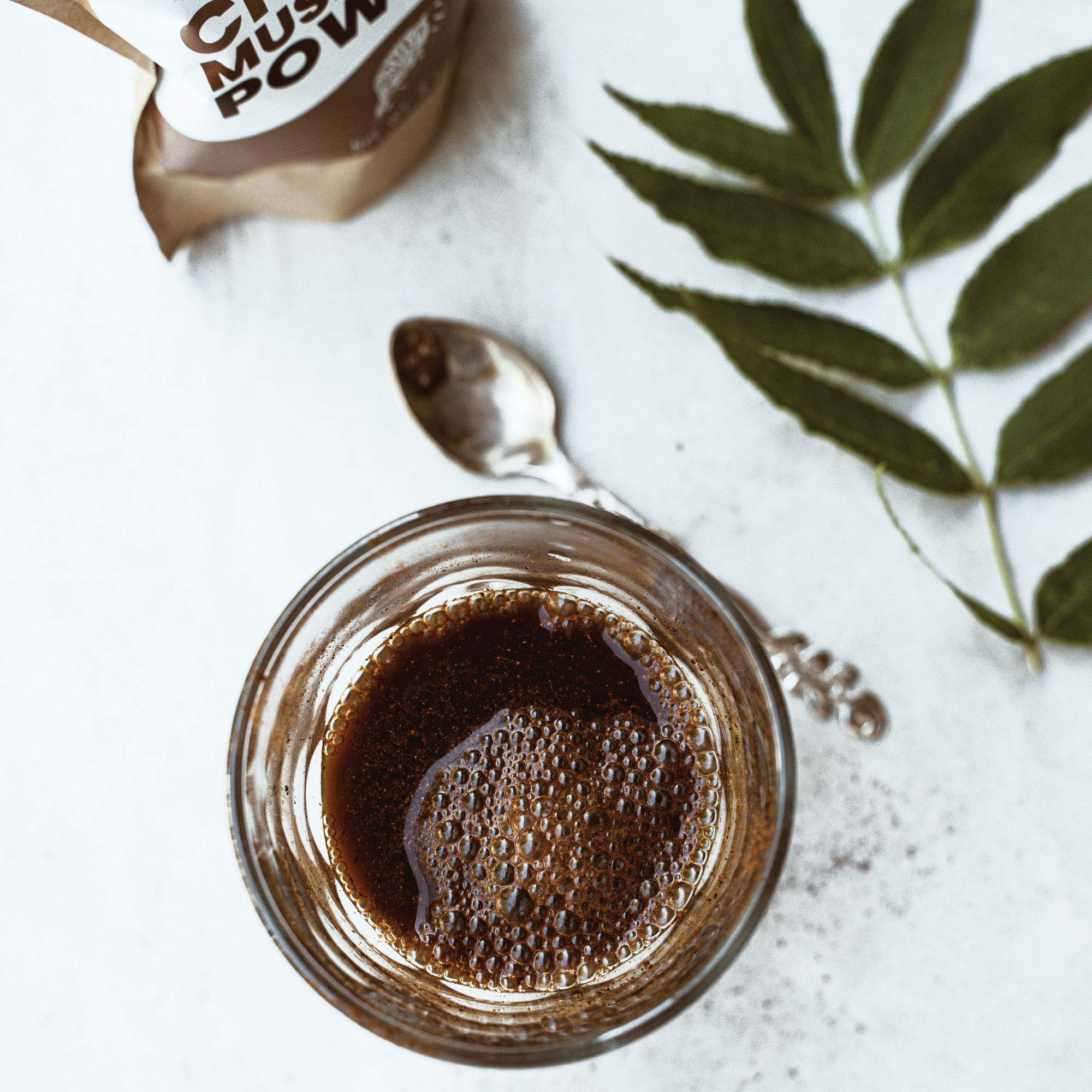 Chaga mushroom powder for energy