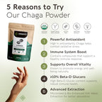 chaga mushroom powder for immune support