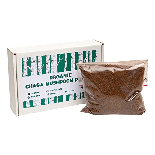 chaga mushroom powder for immune support