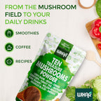 Chaga mushroom powder for immunity