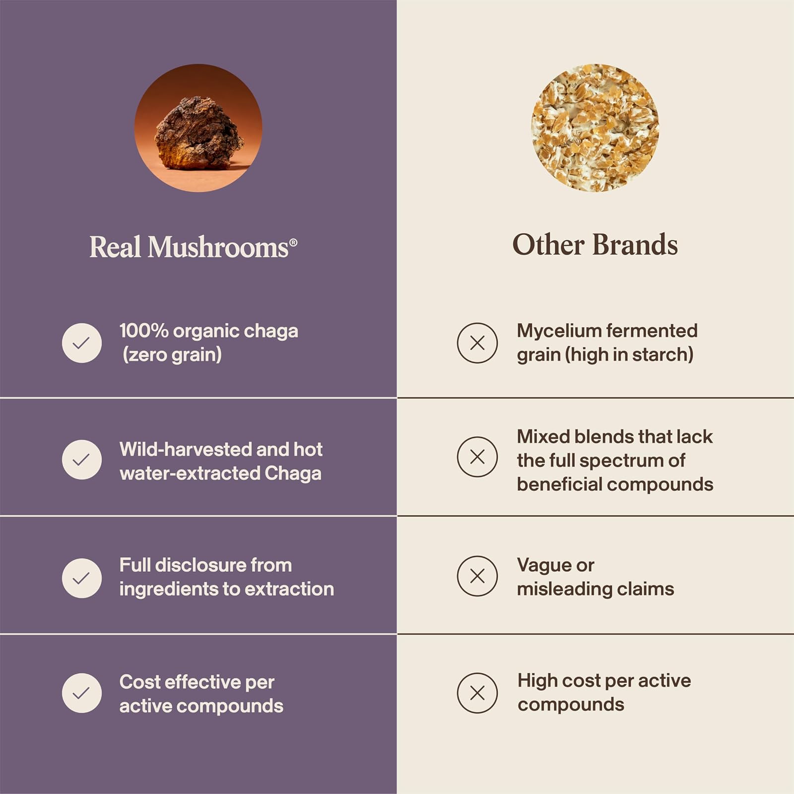 chaga mushroom powder for smoothies