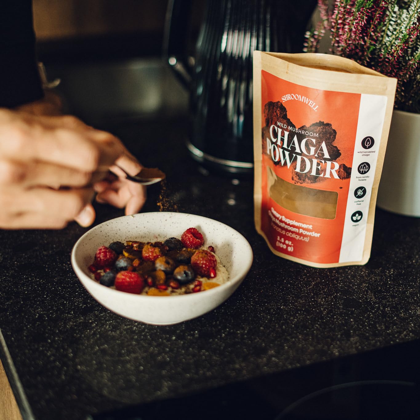 chaga mushroom powder for stress relief