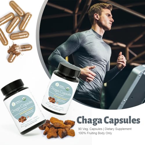 chaga mushroom powder for vitality
