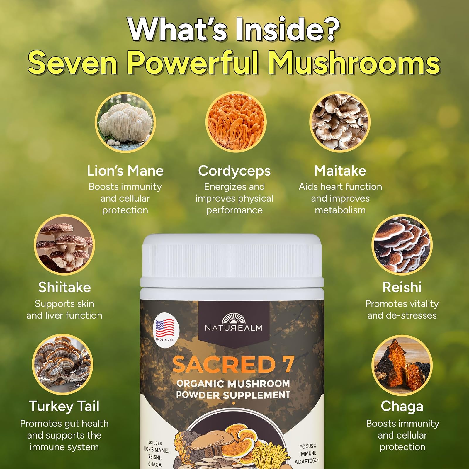 chaga mushroom powder for vitality