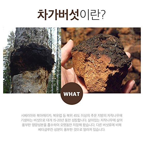 chaga mushroom powder for wellness