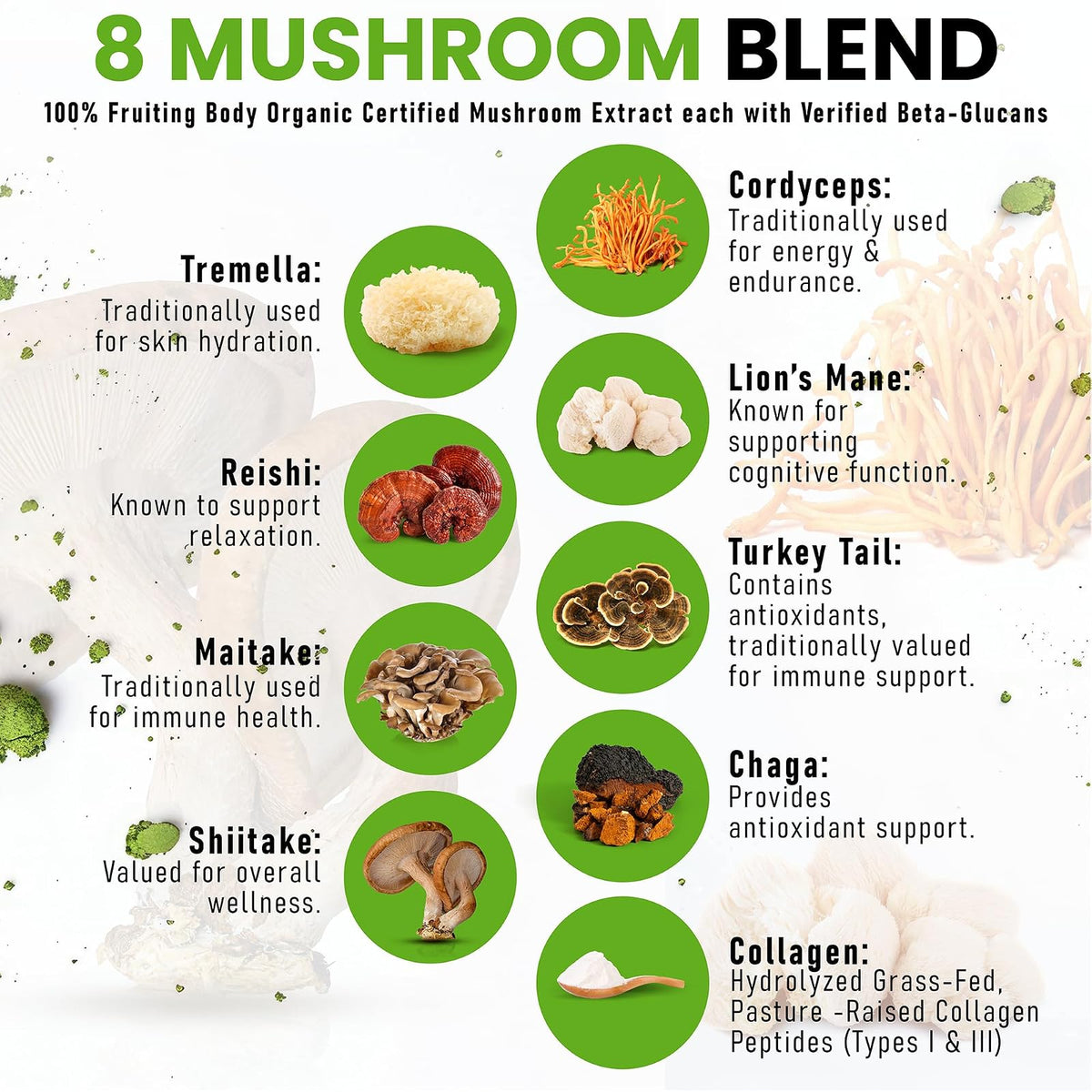 chaga mushroom powder for wellness
