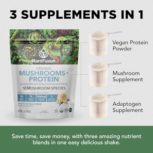 chaga mushroom protein powder benefits