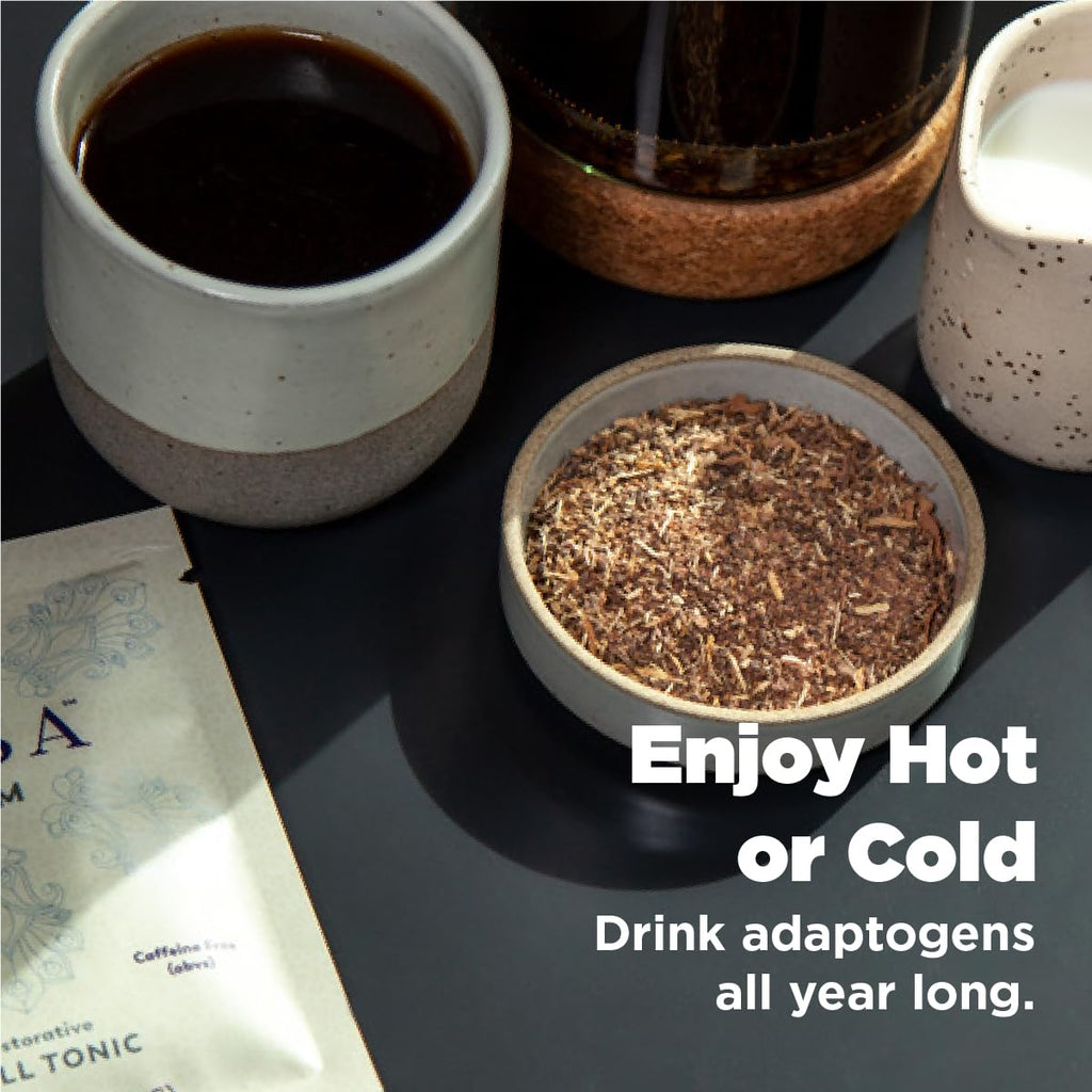 chaga mushroom sleep support formula