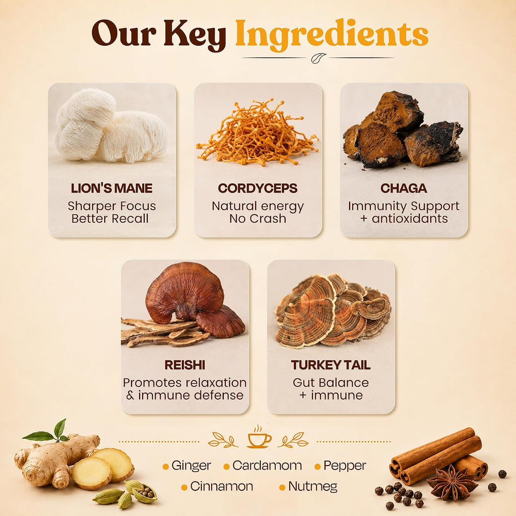 chaga mushroom superfood drink