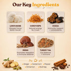 chaga mushroom superfood drink