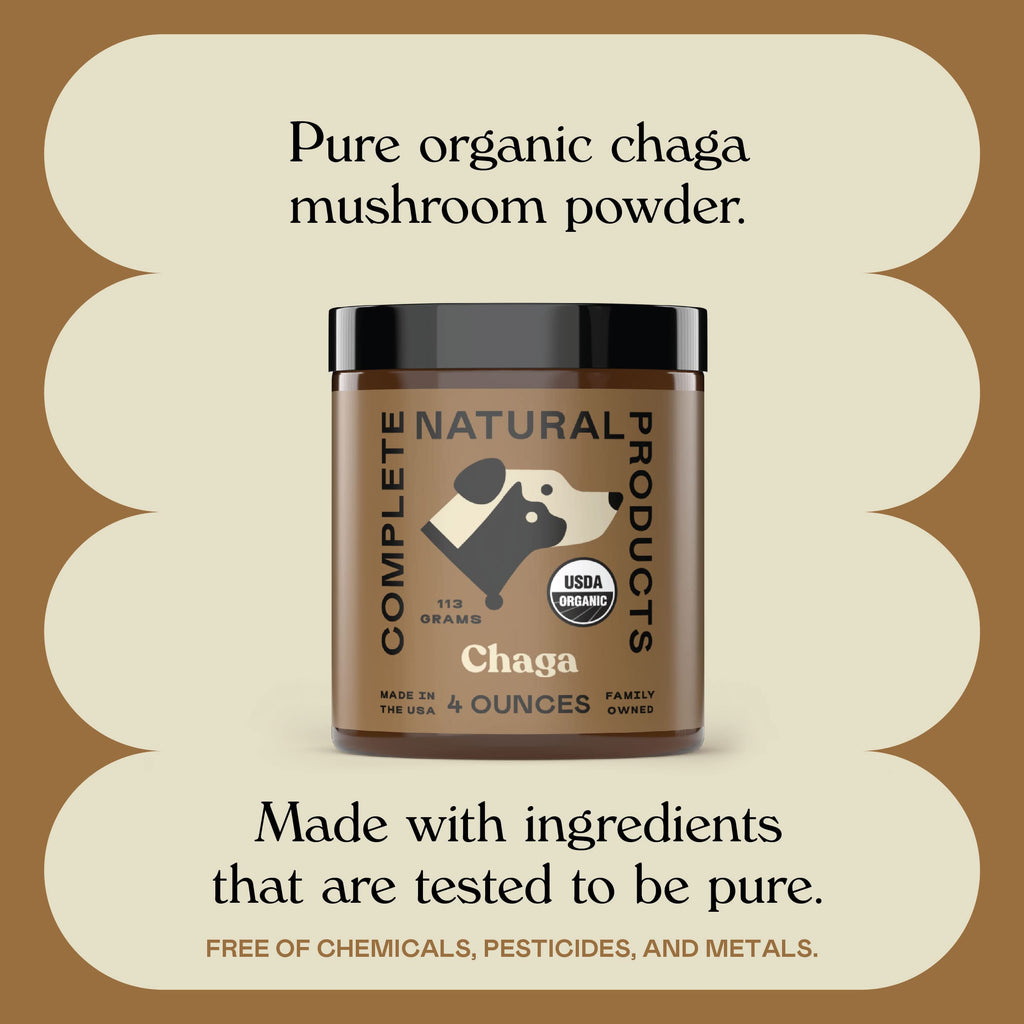 chaga mushroom supplement for cats