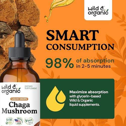chaga mushroom supplement for daily health