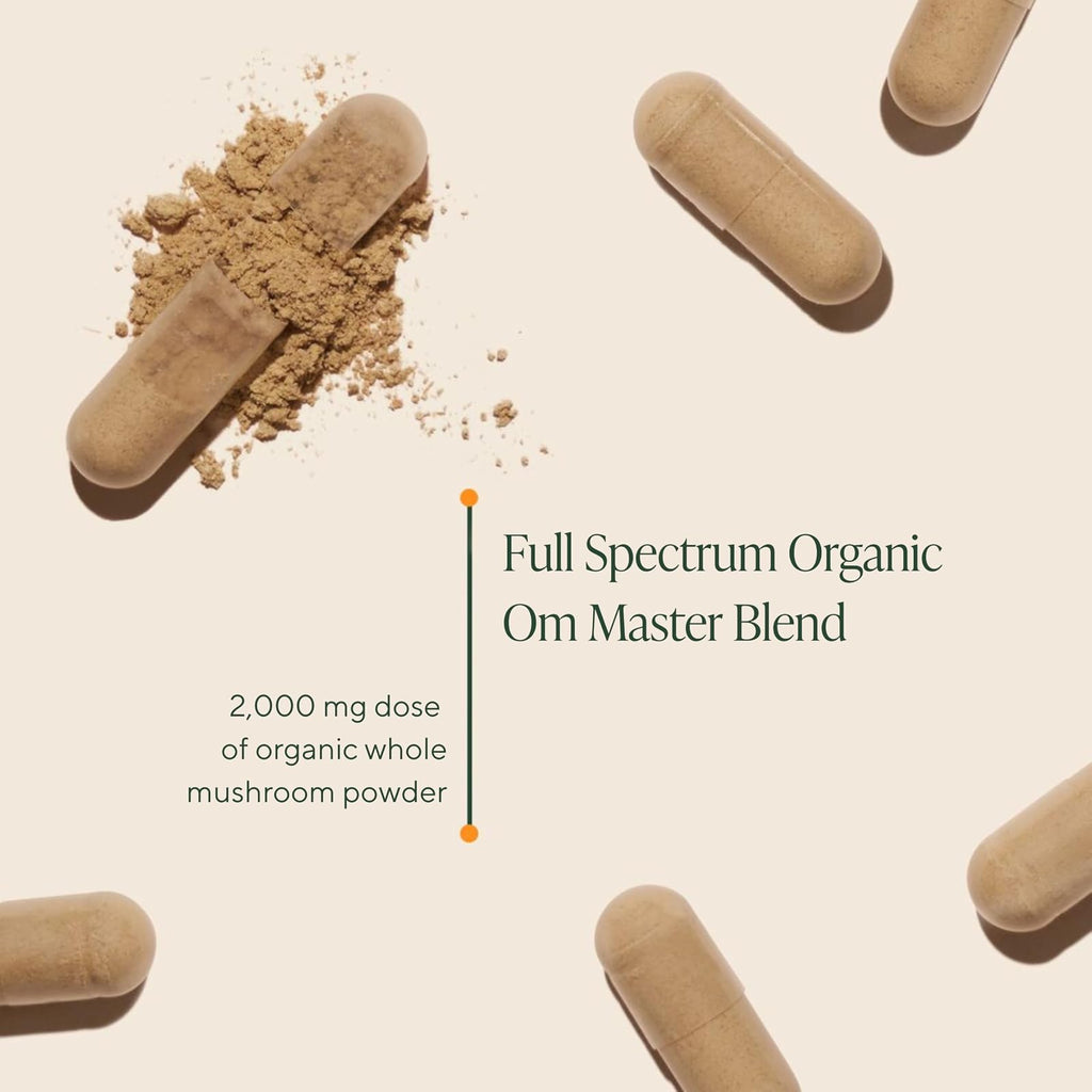 chaga mushroom supplement for energy boost
