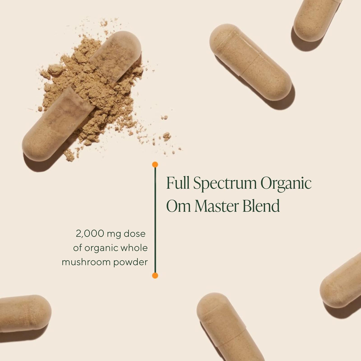 chaga mushroom supplement for energy boost
