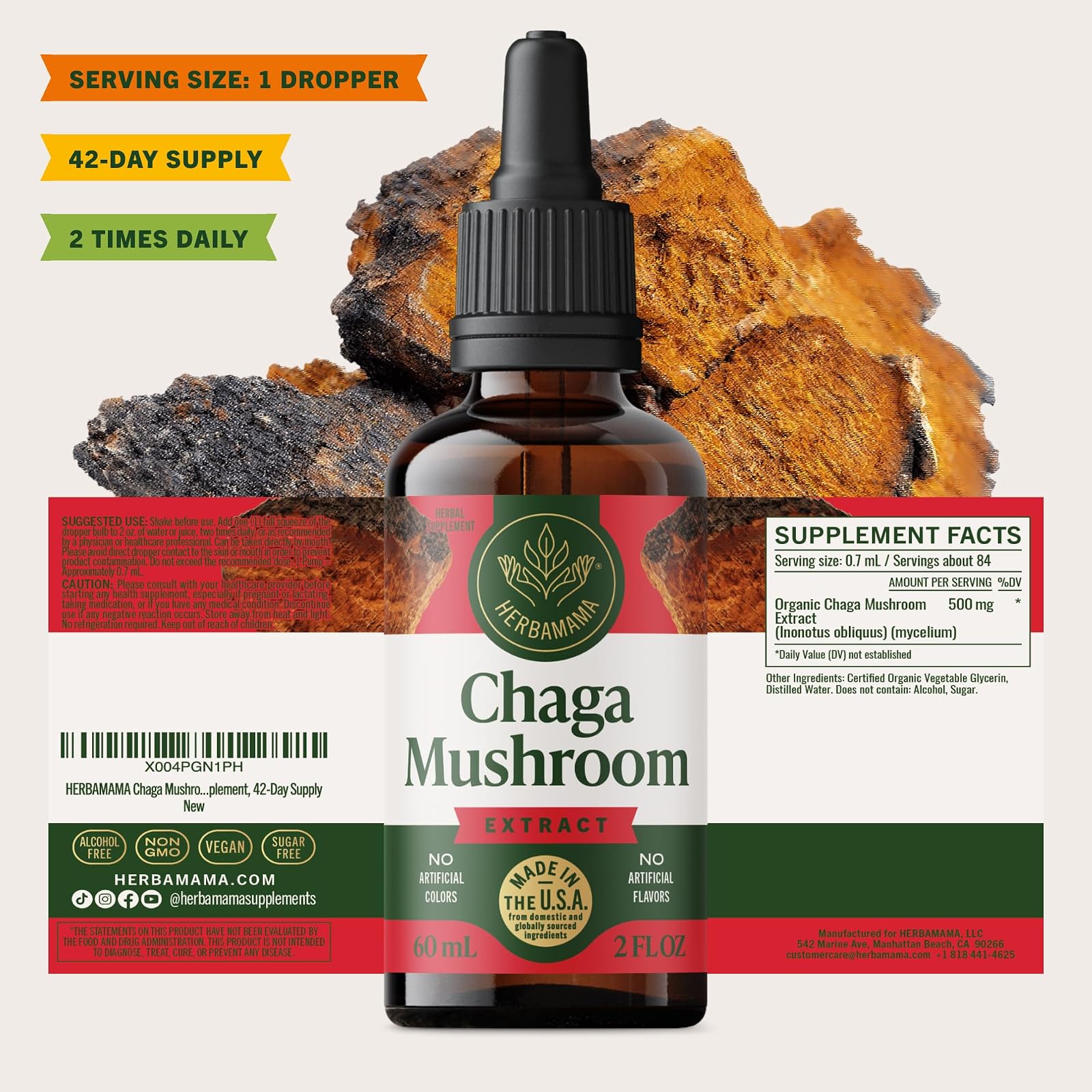 Chaga mushroom supplement for energy boost