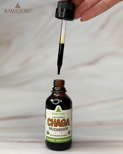 Chaga mushroom supplement for energy