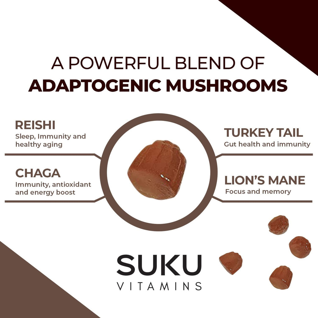 Chaga mushroom supplement for immune support