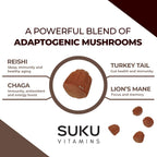 Chaga mushroom supplement for immune support