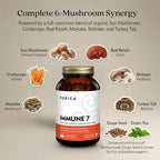 chaga mushroom supplement for immunity