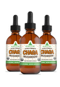 Chaga mushroom supplement for immunity