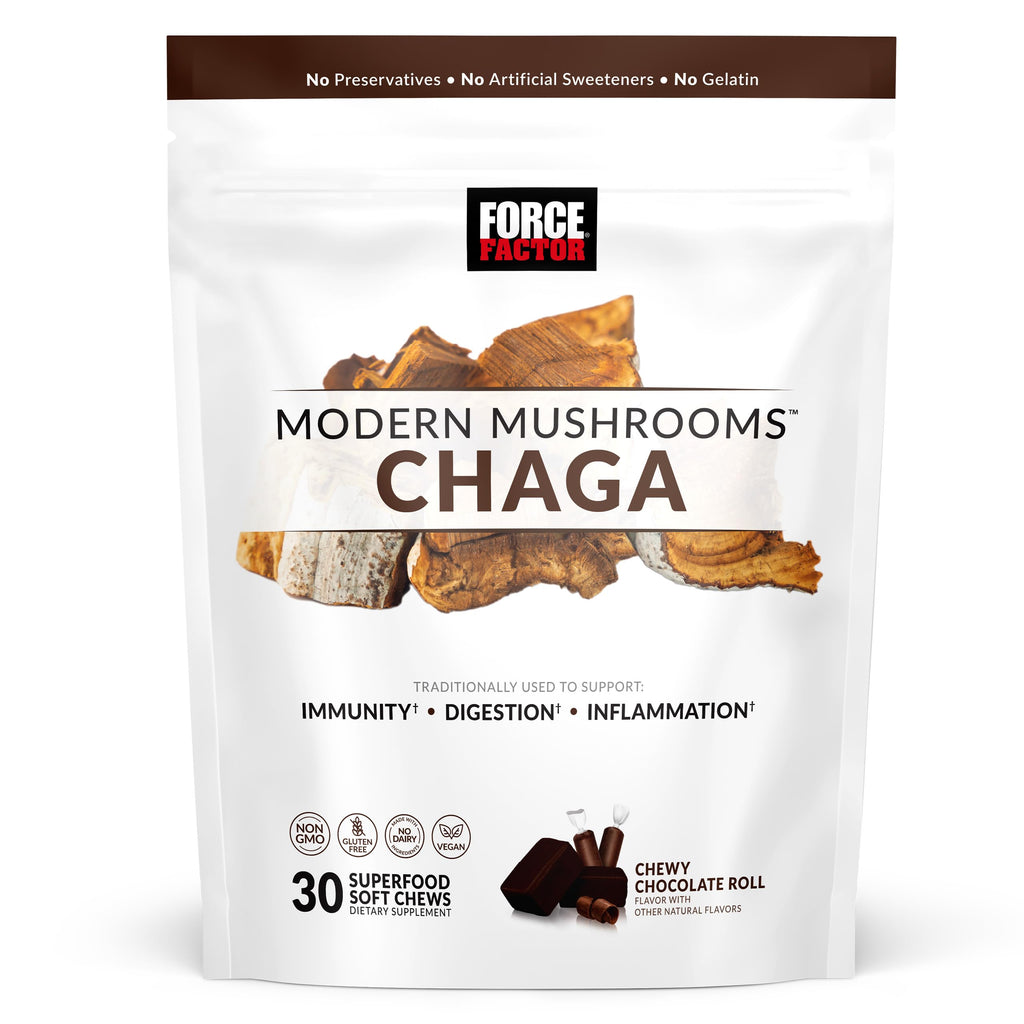 chaga mushroom supplement for immunity