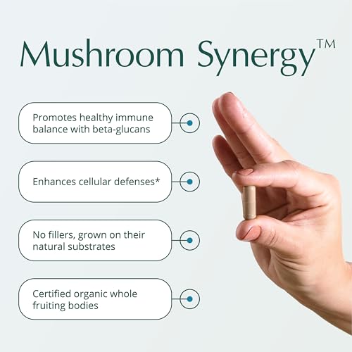 Chaga mushroom supplement for wellness