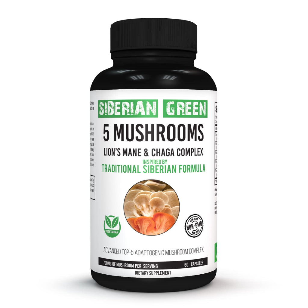 Chaga mushroom supplement for wellness