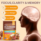 chaga mushroom supplement for wellness