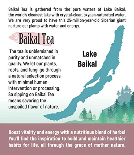 chaga mushroom tea for wellness