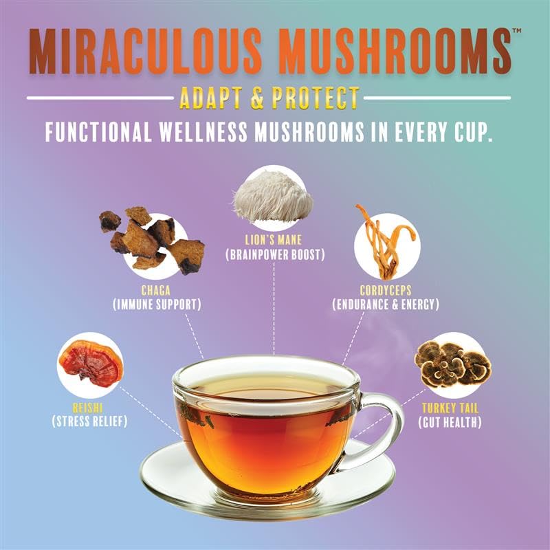 chaga mushroom tea for wellness