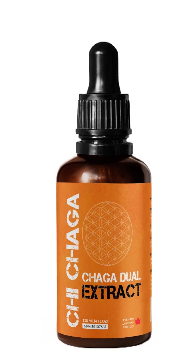 Chaga mushroom tincture for immunity