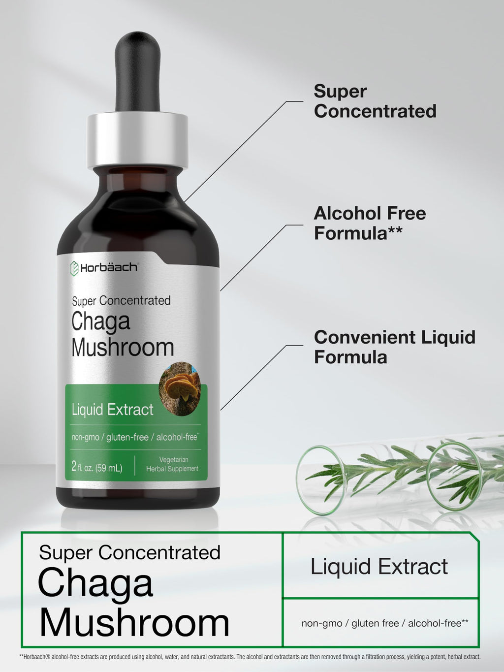 Chaga mushroom tincture for vitality