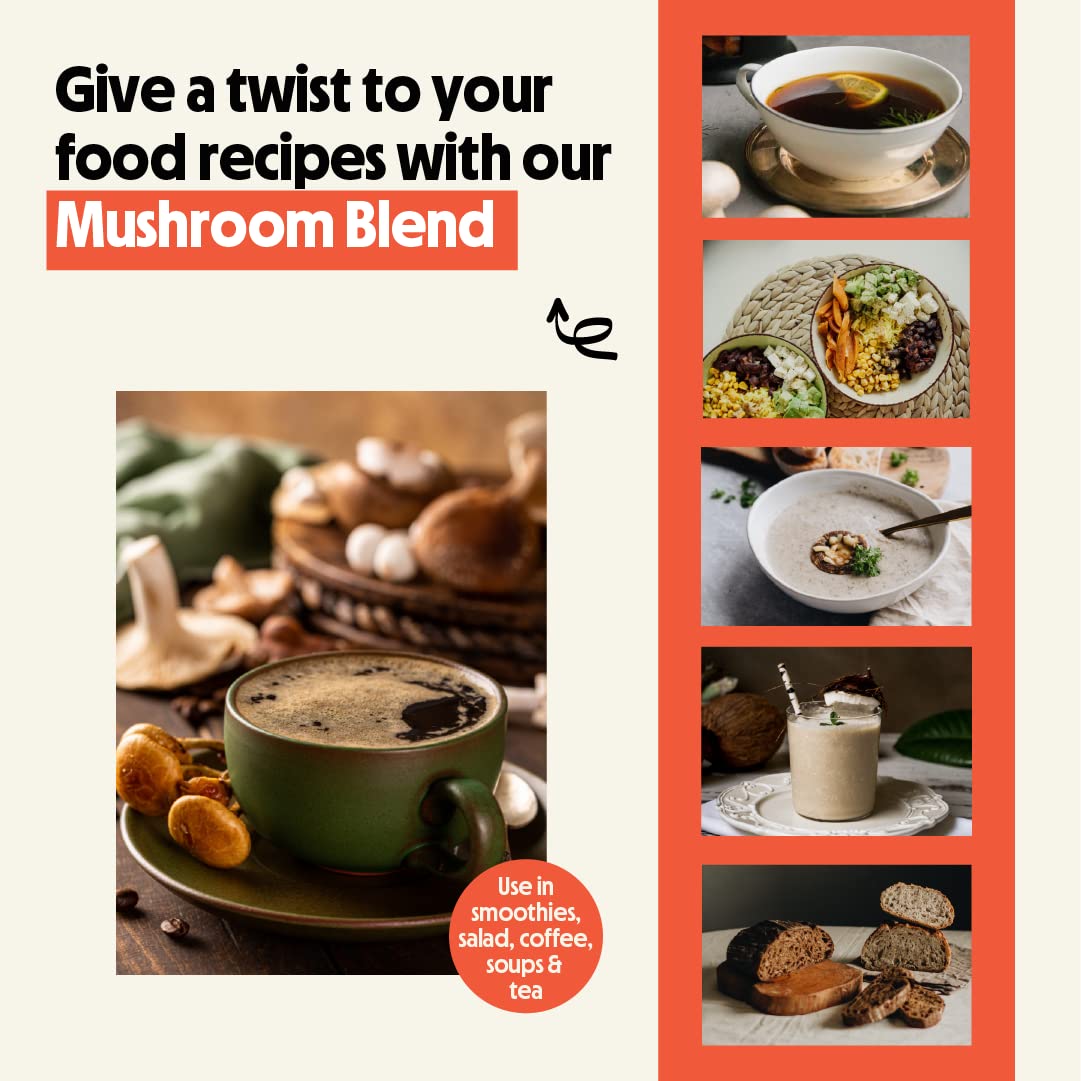 Chaga mushrooms enhance immune support