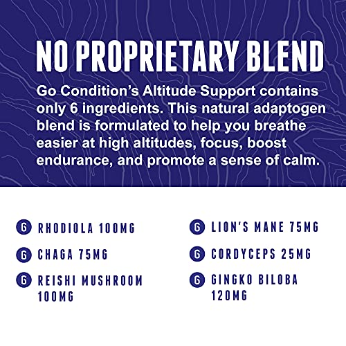 Chaga mushrooms for antioxidant benefits