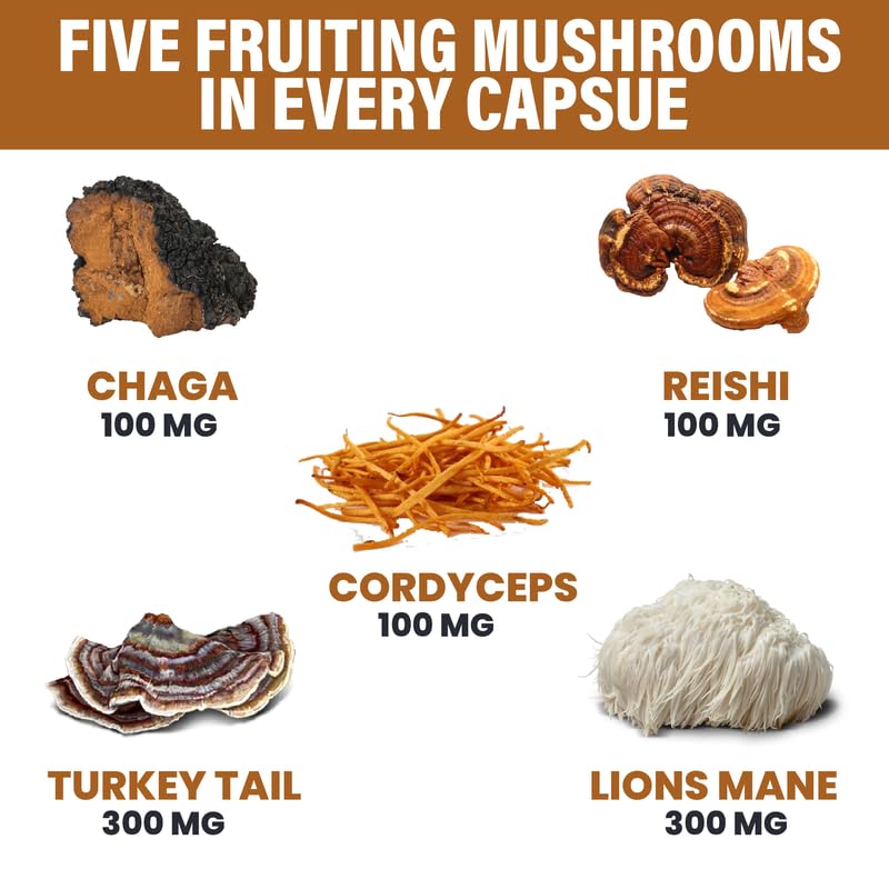 Chaga mushrooms for antioxidant benefits