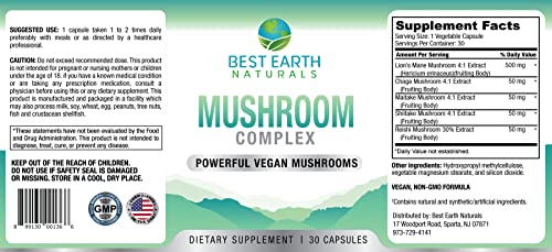Chaga mushrooms for antioxidant boost