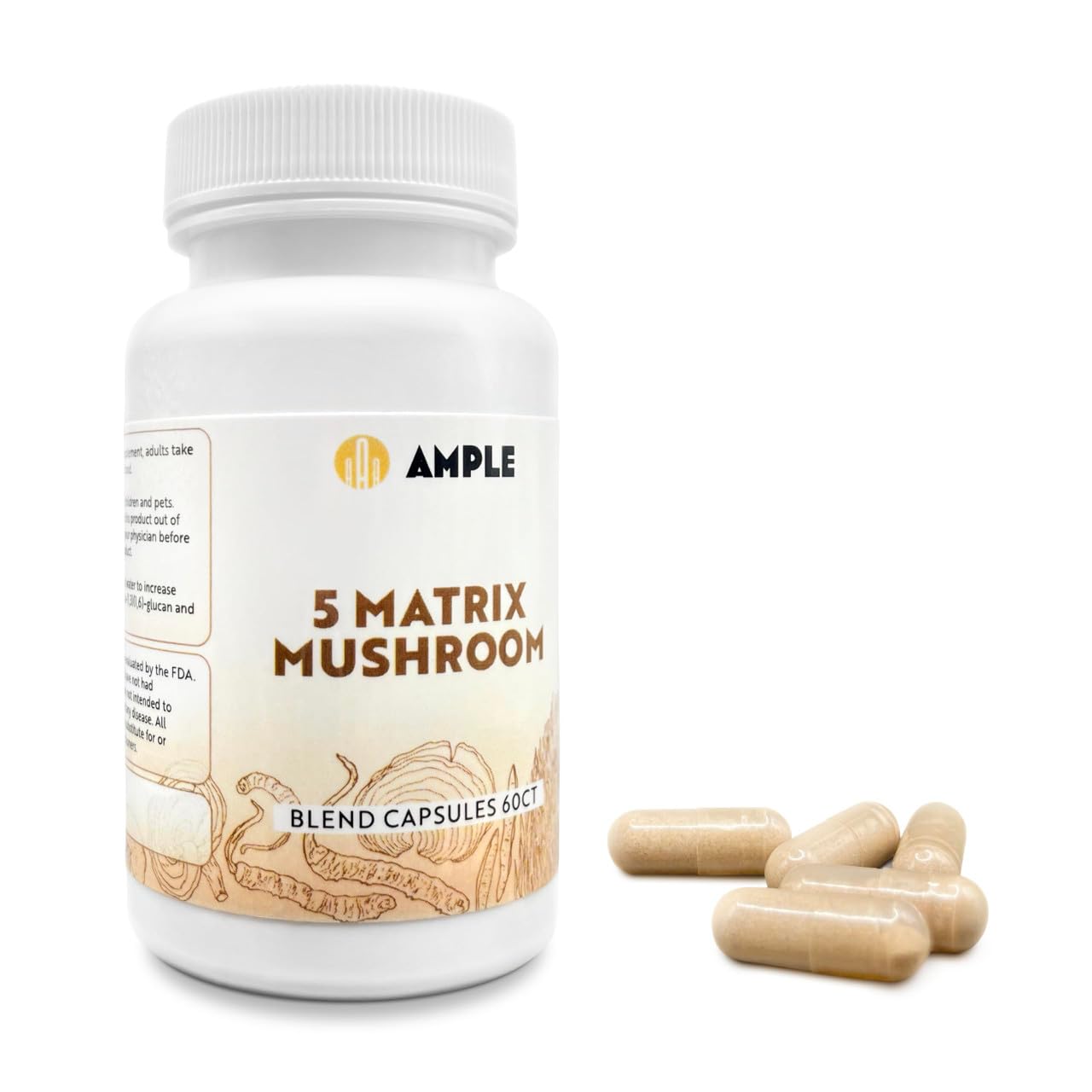 Chaga mushrooms for antioxidant power