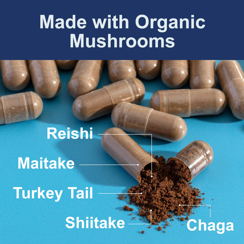 chaga mushrooms for antioxidant power