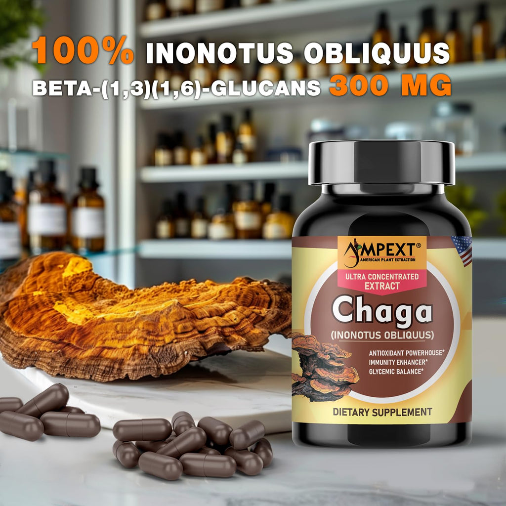 Chaga mushrooms for antioxidant protection